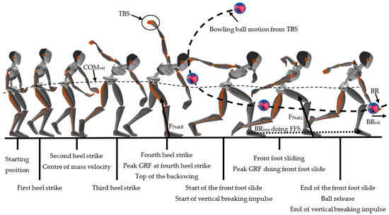 Full-Body Kinematics and Vertical Ground Reaction Forces in Elite Ten ...