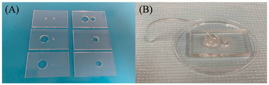 Sensors | Free Full-Text | Development of a Microfluidic Device for Exosome Isolation in Point ...