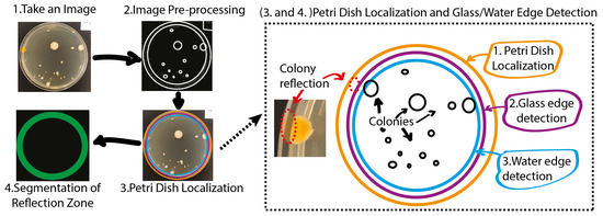 Sensors | Free Full-Text | Hybrid Approach to Colony-Forming Unit Counting Problem Using Multi ...