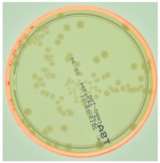 Hybrid Approach to Colony-Forming Unit Counting Problem Using Multi ...