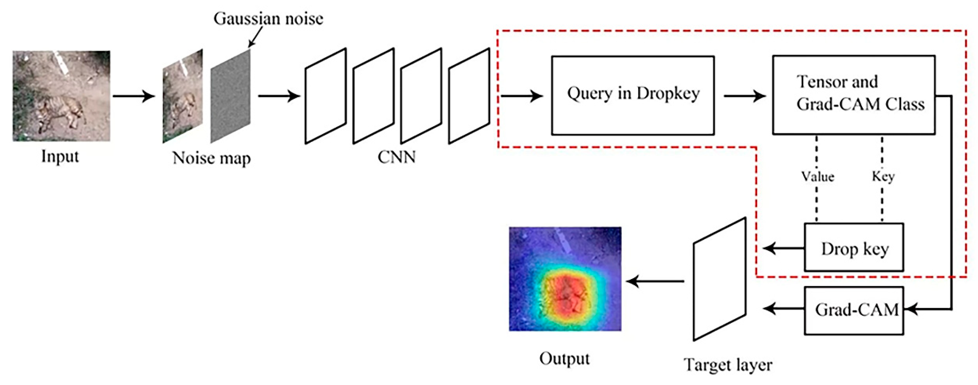 Optimized Dropkey-Based Grad-CAM: Toward Accurate Image Feature ...