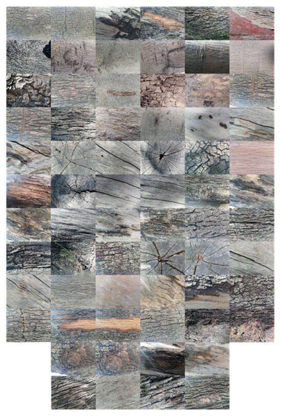 A New Texture Spectrum Based on Parallel Encoded Texture Unit and Its ...