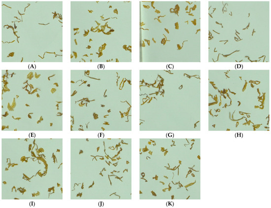A New Efficient Multi-Object Detection and Size Calculation for Blended Tobacco Shreds Using an ...