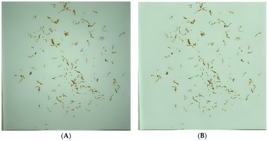A New Efficient Multi-Object Detection and Size Calculation for Blended Tobacco Shreds Using an ...