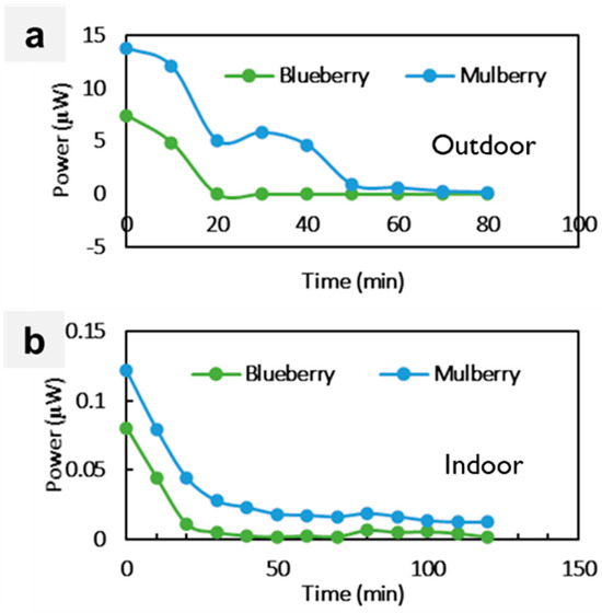 A Green Approach to Natural Dyes in Dye-Sensitized Solar Cells