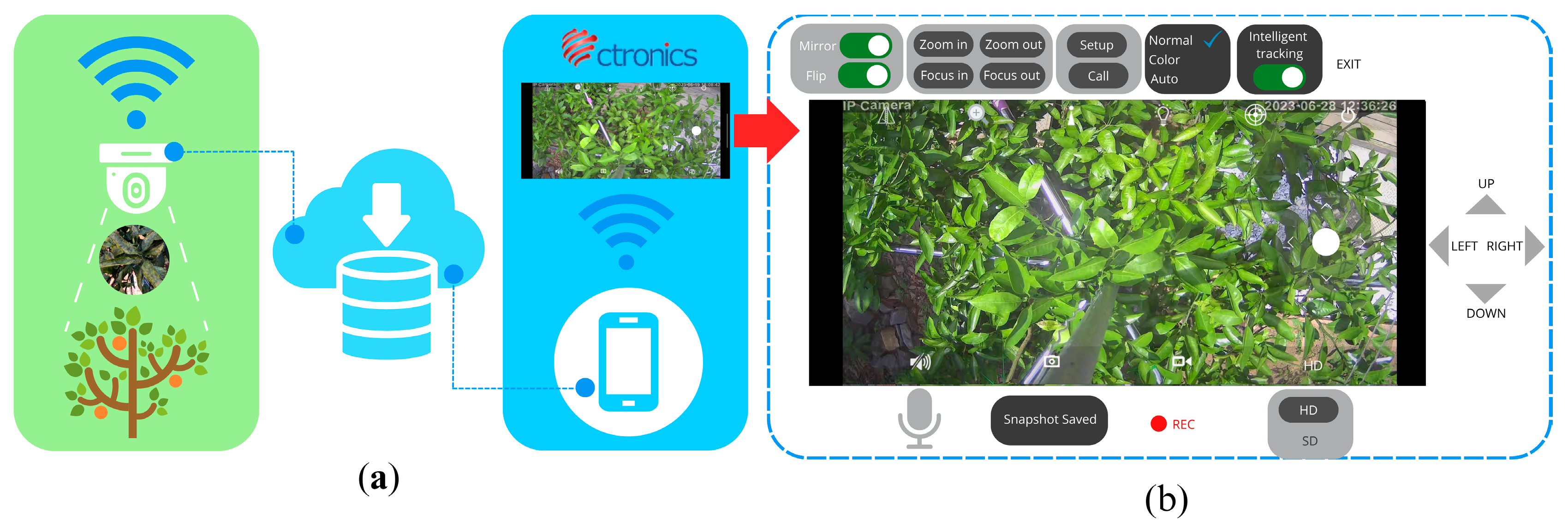 Sensors Free Full Text Sooty Mold Detection On Citrus Tree Canopy Using Deep Learning Algorithms