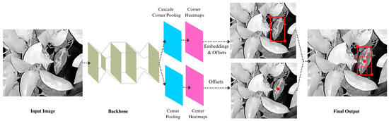 Sooty Mold Detection on Citrus Tree Canopy Using Deep Learning Algorithms