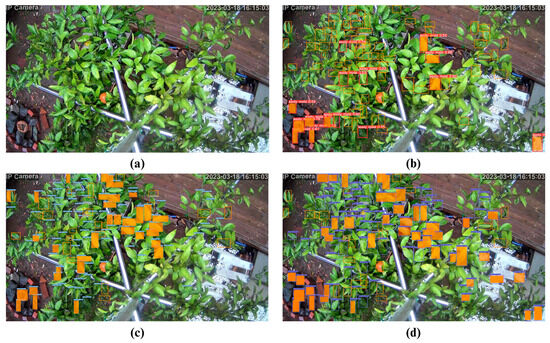 Sooty Mold Detection on Citrus Tree Canopy Using Deep Learning Algorithms