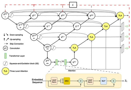 Improved UNet with Attention for Medical Image Segmentation