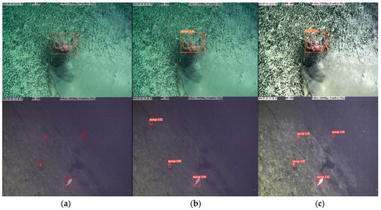 Deep-Sea Biological Detection Method Based on Lightweight YOLOv5n