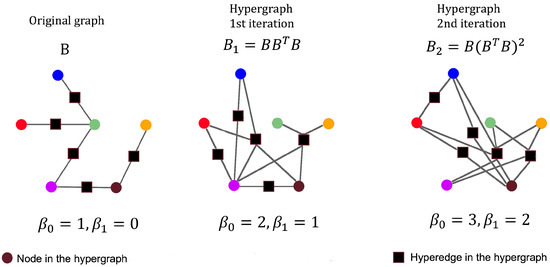Analysis of Connectome Graphs Based on Boundary Scale