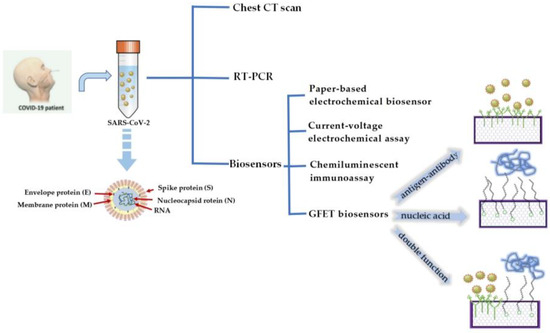 The Application of Graphene Field-Effect Transistor Biosensors in COVID ...