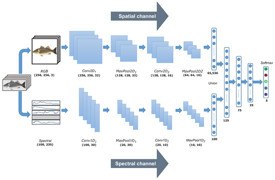 A Spatial-Spectral Classification Method Based on Deep Learning for ...