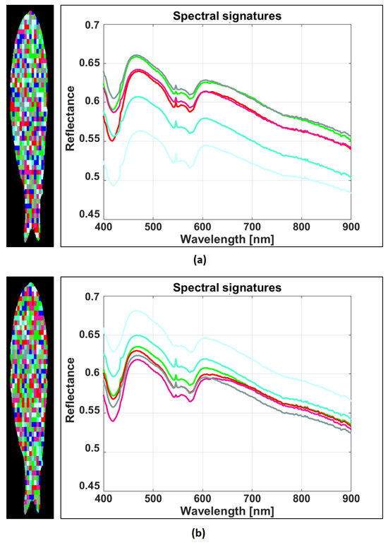 A Spatial-Spectral Classification Method Based on Deep Learning for ...