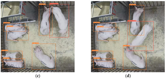 Sensors | Free Full-Text | Research on the Recognition and Tracking of Group-Housed Pigs ...