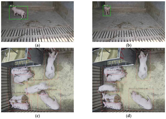 Research on the Recognition and Tracking of Group-Housed Pigs’ Posture ...