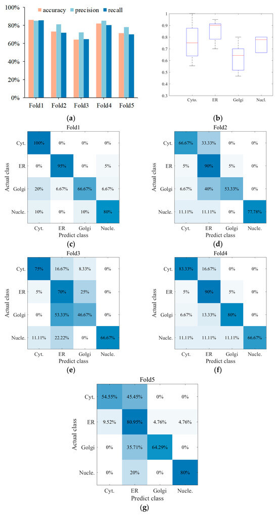 Dual-Signal Feature Spaces Map Protein Subcellular Locations Based on ...