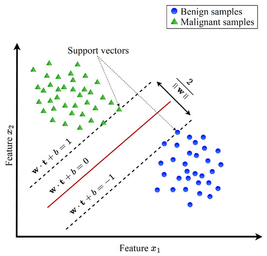 Sensors | Free Full-Text | Lightweight Multi-Class Support Vector Machine-Based Medical ...