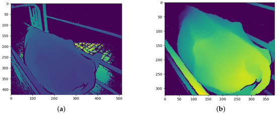 Automated Cow Body Condition Scoring Using Multiple 3D Cameras and Convolutional Neural Networks