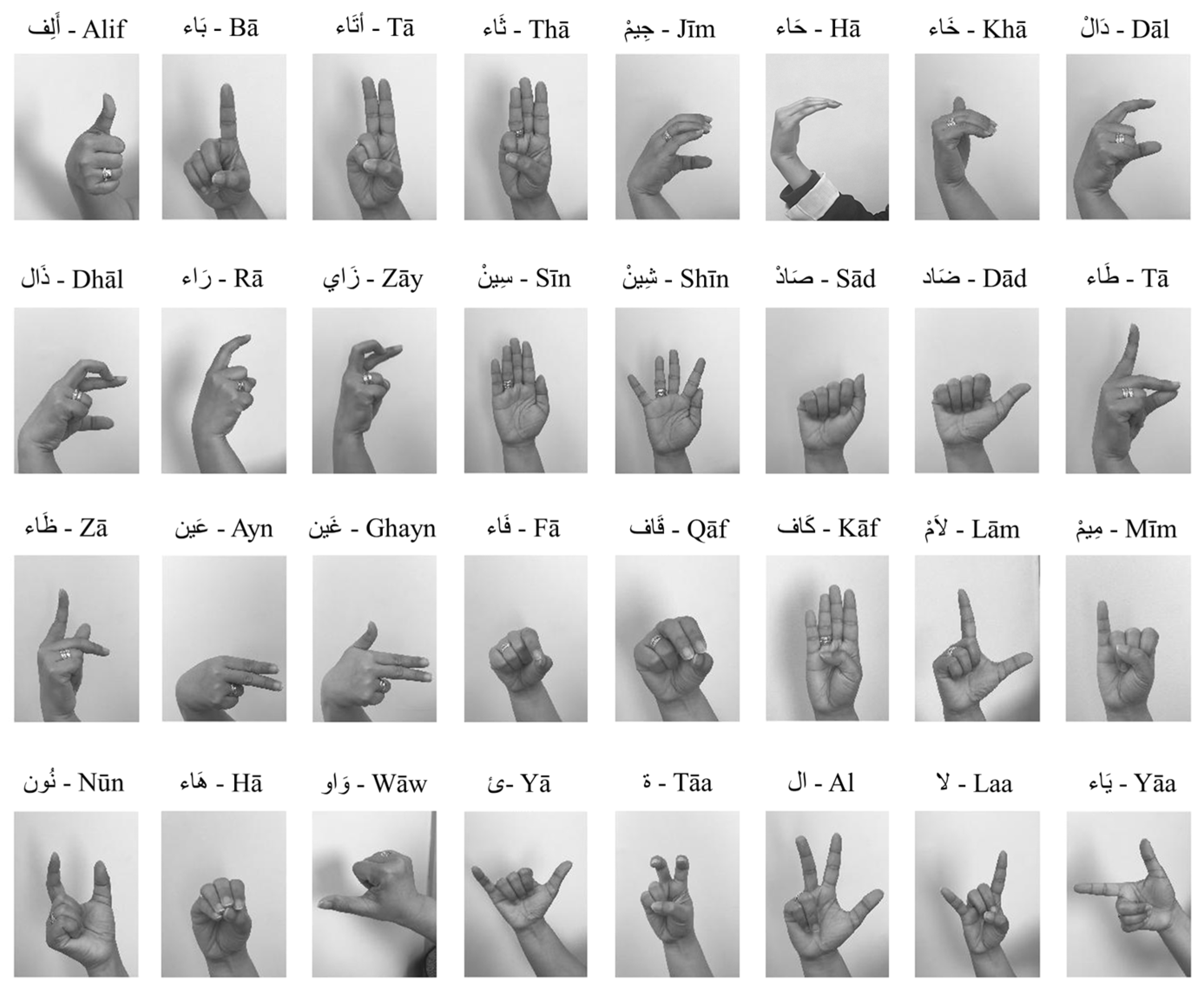 Sensors | Free Full-Text | Toward a Vision-Based Intelligent System: A ...