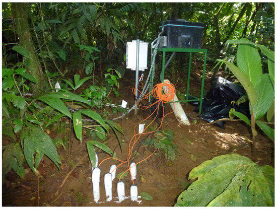 Sensors | Free Full-Text | Collaborative Use of Sensor Networks and ...