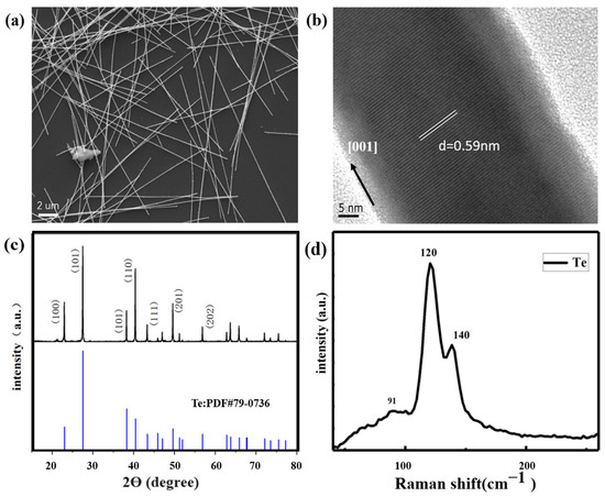Rapid and Efficient NO2 Sensing Performance of TeO2 Nanowires