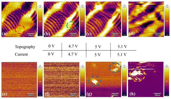 Phase Conductance of BiFeO3 Film
