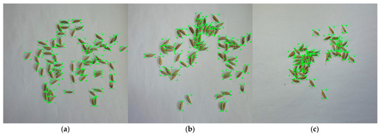 Rice Grain Detection and Counting Method Based on TCLE–YOLO Model