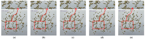 Rice Grain Detection and Counting Method Based on TCLE–YOLO Model