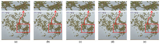 Rice Grain Detection and Counting Method Based on TCLE–YOLO Model
