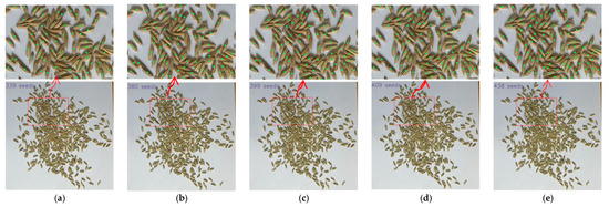Rice Grain Detection and Counting Method Based on TCLE–YOLO Model