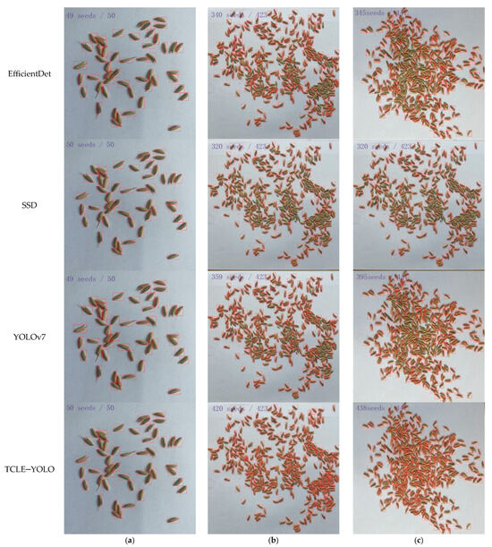 Rice Grain Detection and Counting Method Based on TCLE–YOLO Model
