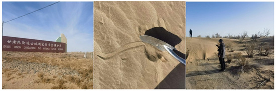 A High-Precision Remote Sensing Identification Method for Land ...