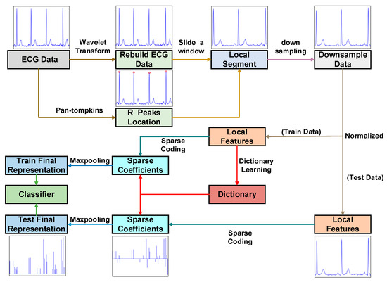 Electrocardiogram-Based Biometric Identification Using Mixed Feature ...