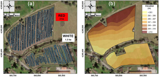 Using a Non-Contact Sensor to Delineate Management Zones in Vineyards and Validation with the ...