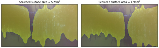 Seaweed Growth Monitoring with a Low-Cost Vision-Based System