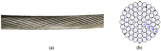 Radial Thermoelectric Model for Stranded Transmission Line Conductors