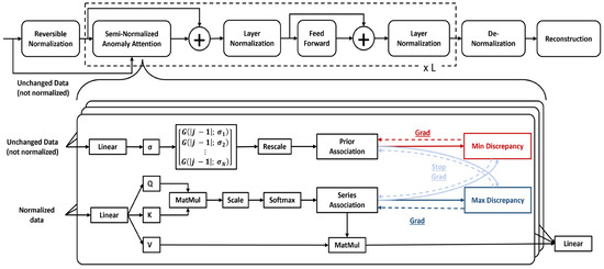 Anomaly Detection in Time Series Data Using Reversible Instance Normalized Anomaly Transformer
