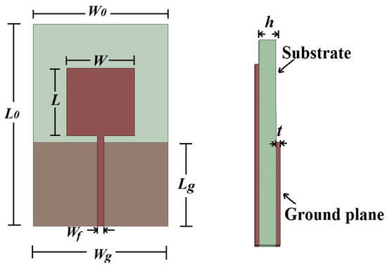 The Practical Application of Bio-Inspired PMA for the Detection of ...