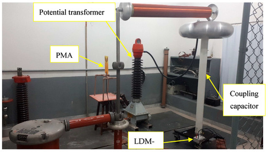 The Practical Application of Bio-Inspired PMA for the Detection of ...