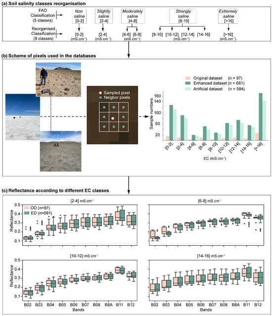 Sensors | Free Full-Text | Towards the Improvement of Soil Salinity Mapping in a Data-Scarce ...