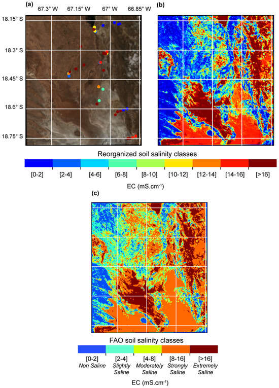 Sensors | Free Full-Text | Towards the Improvement of Soil Salinity Mapping in a Data-Scarce ...