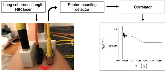 Diffuse Correlation Spectroscopy: A Review of Recent Advances in Parallelisation and Depth ...