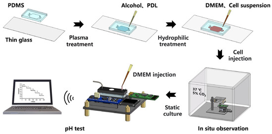 A Cell State Monitoring System with Integrated In Situ Imaging and pH ...
