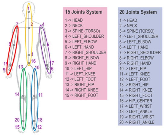 Multi-Stream Fusion Network for Skeleton-Based Construction Worker ...