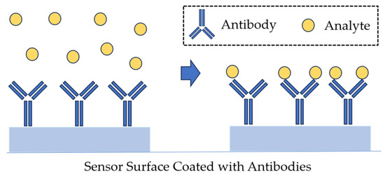 Optical Sensors for Bacterial Detection