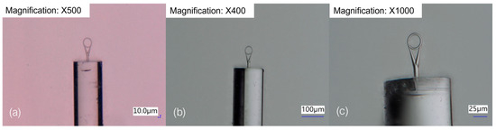 Whispering-Gallery Mode Micro-Ring Resonator Integrated with a Single ...