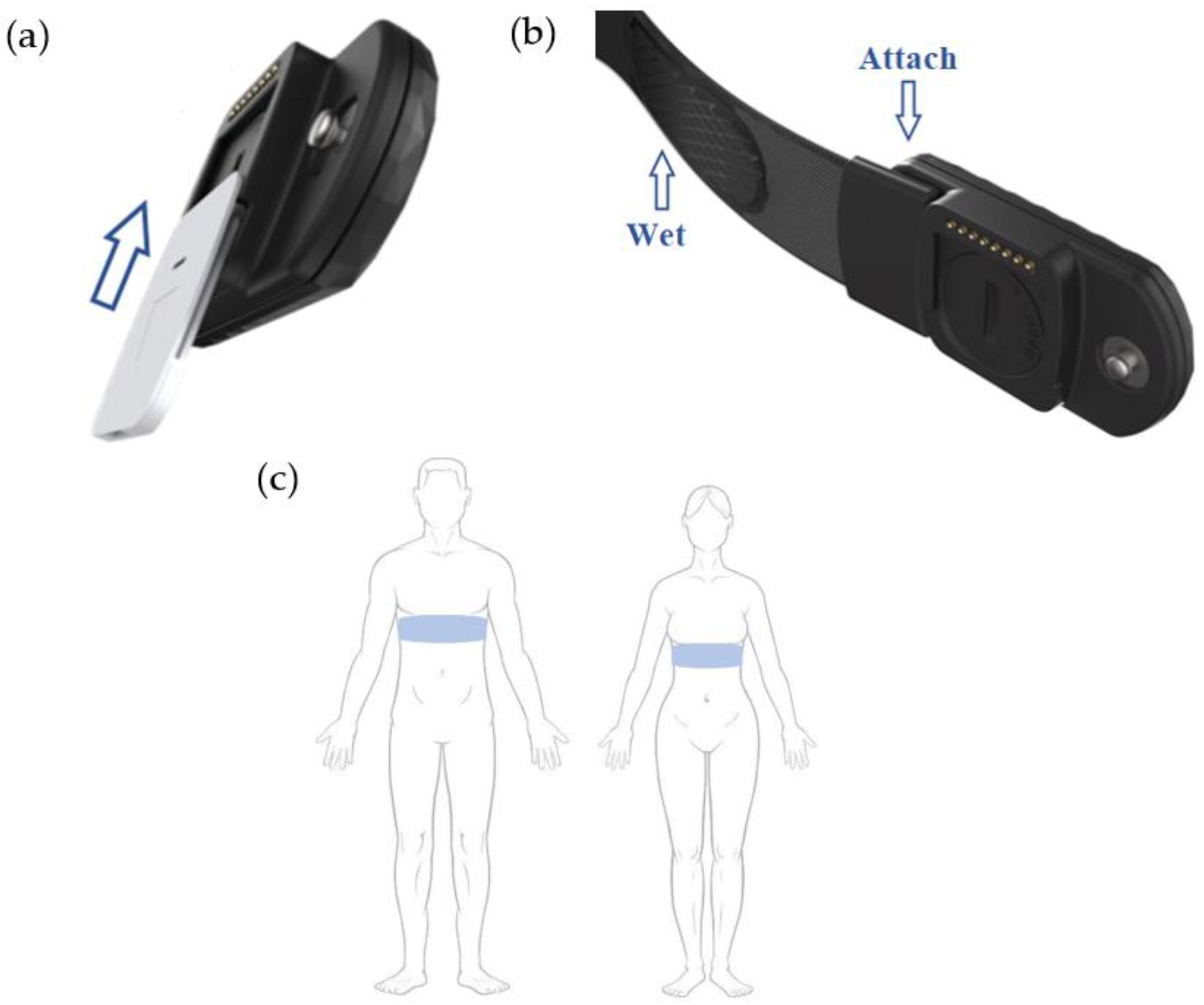 Sensors | Free Full-Text | Novel Sweat-Based Wearable Device for ...