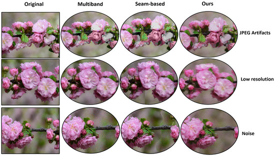 Semi-Supervised Image Stitching from Unstructured Camera Arrays