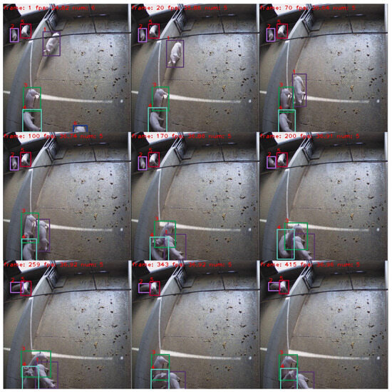 Pig Movement Estimation by Integrating Optical Flow with a Multi-Object Tracking Model